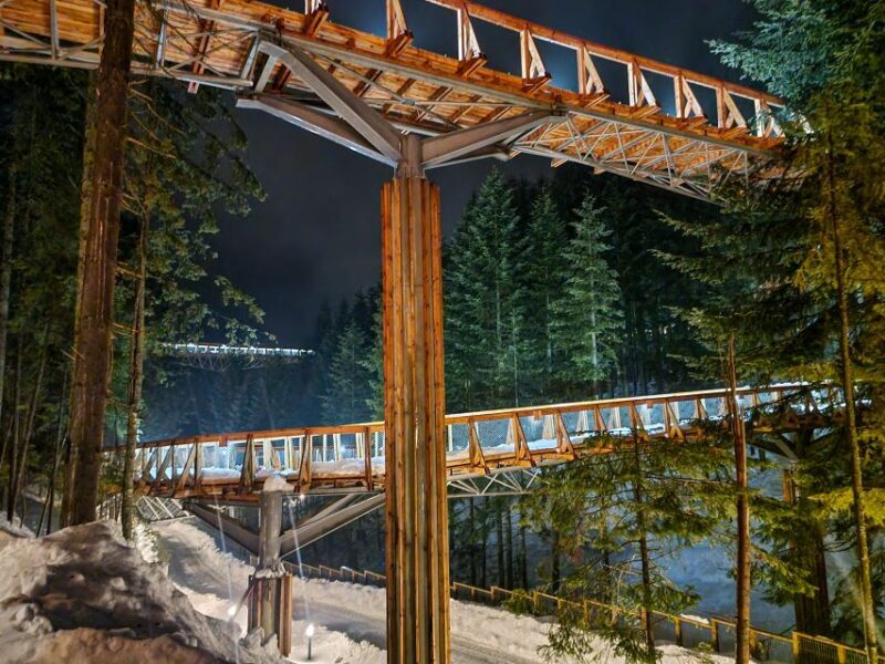 Krakow: Zakopane, Thermal Baths and Gorce Park Treetop Walk - Who Will Love This Tour?