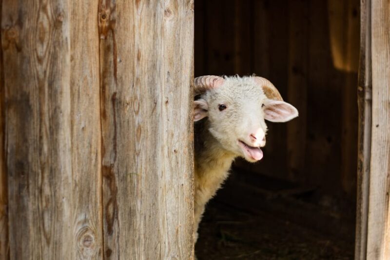 Krakow: Zakopane Tour with Cable Car, Tasting & Hotel Pickup - FAQs