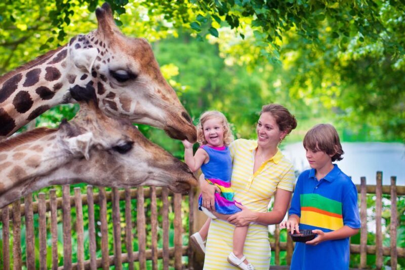 Krakow: Zoo Tour with Private Transport and Tickets - Key Points