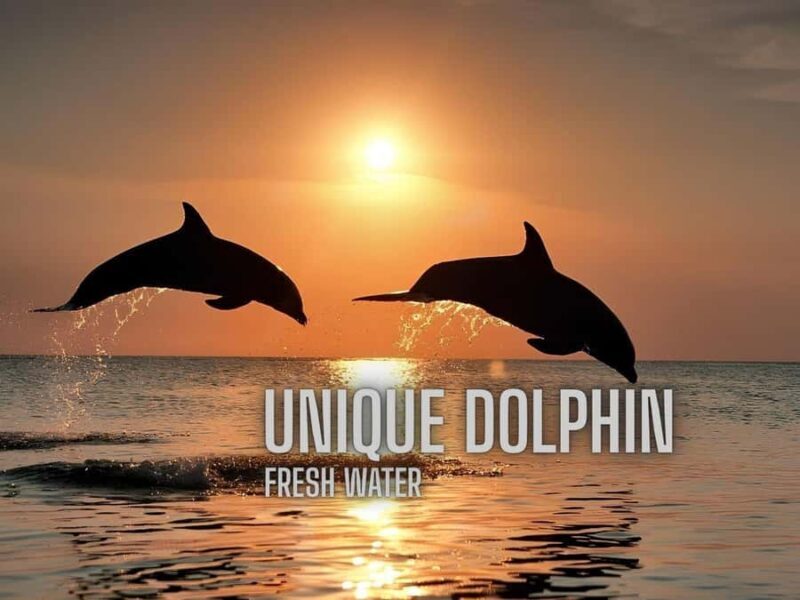 Kratie Dolphin Tour: Mekong Boat Trip, Villages & Sunset - FAQ