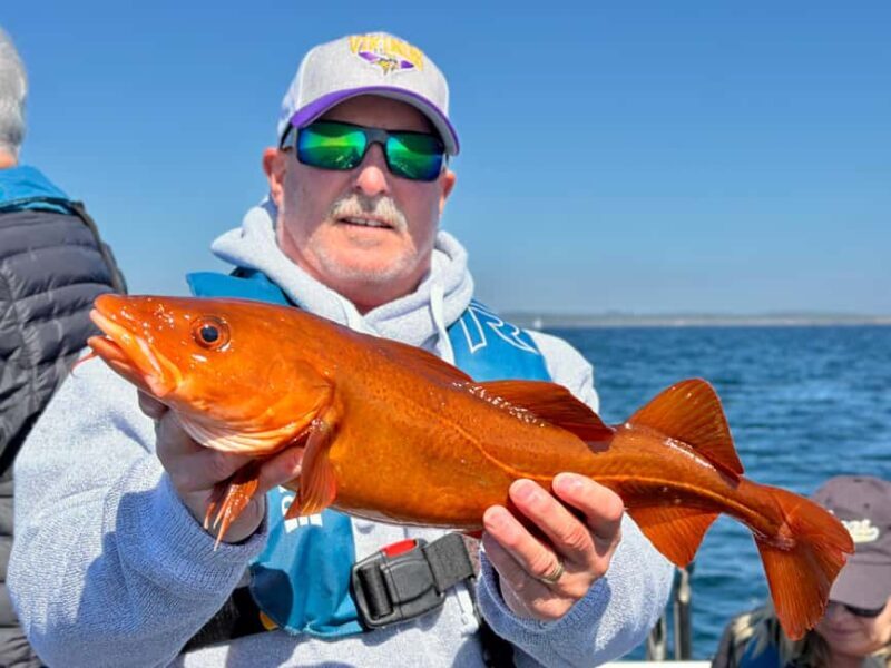 Kristiansand: Guided Sea Fishing Experience - What Is the Kristiansand Sea Fishing Experience?