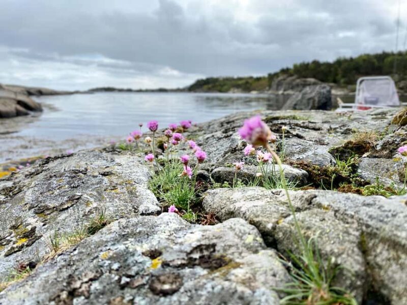 Kristiansand: Guided Sea Fishing Experience - Who Is This Tour Best For?