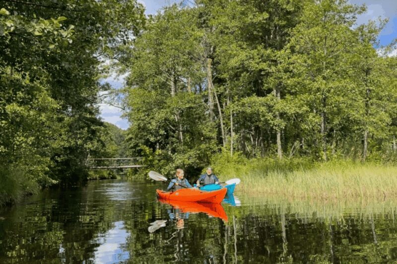 Kristiansand: Otra River Kayaking Adventure - The Sum Up