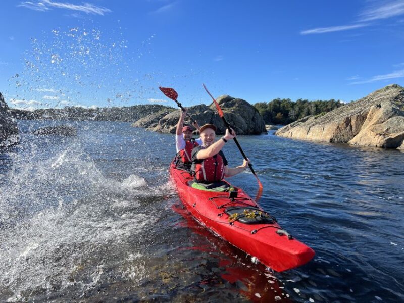 Kristiansand: Scenic Double Sea Kayak Tour around Odderoya - Who’s This Tour Best For?