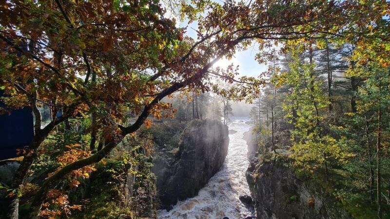 Kristiansand: Wild Salmon Center Guided Tour with Bus Ride - Key Points