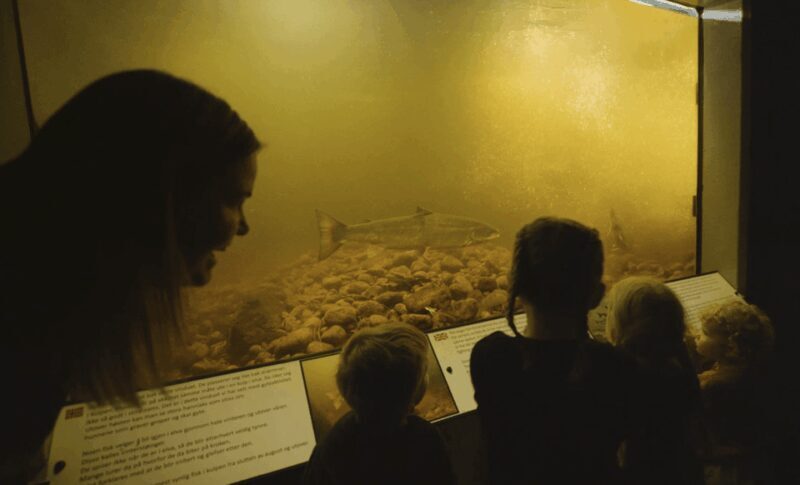 Kristiansand: Wild Salmon Center Guided Tour with Bus Ride - The Bottom Line: Is It Worth It?