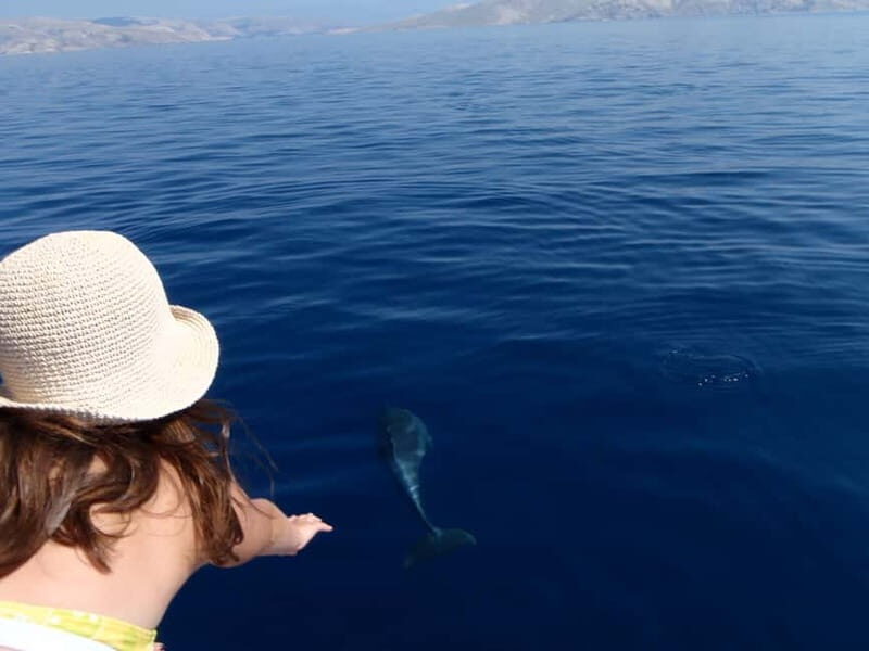 Krk: Boat Trip to Rab & Pag with Sightseeing & Swimming - Authentic Experiences You’ll Remember
