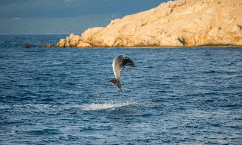 Krk: Golden Beach and Blue Cave Cruise with Welcome Drink - Key Points