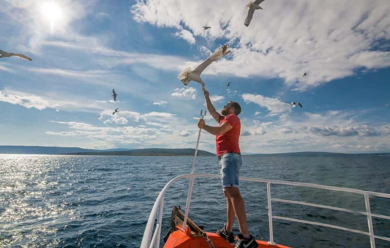 Krk: Golden Beach and Blue Cave Cruise with Welcome Drink - Who Should Book This Experience