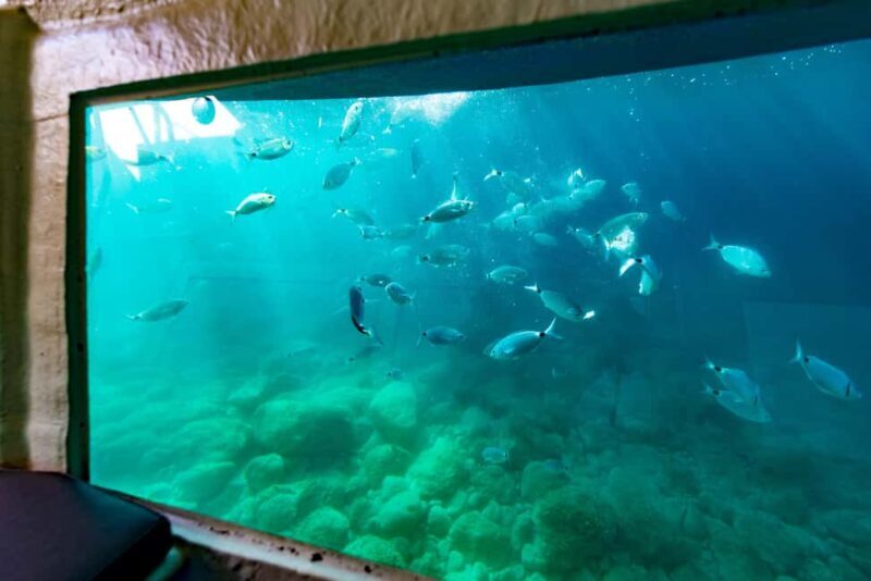 Krk: Yellow Semi-Submarine Tour - Why Choose the Krk Semi-Submarine Tour?