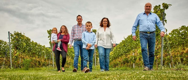 Kröv/Gut Hermes: Wine tour & tasting through the vineyard, winery, and sparkling wine production facility - A Deep Dive Into the Experience