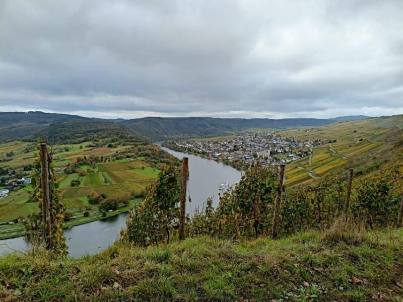 Kröv, Moselle: COVERED WAGON RIDE through the vineyards with wine tasting - The Experience from a Traveler’s Perspective