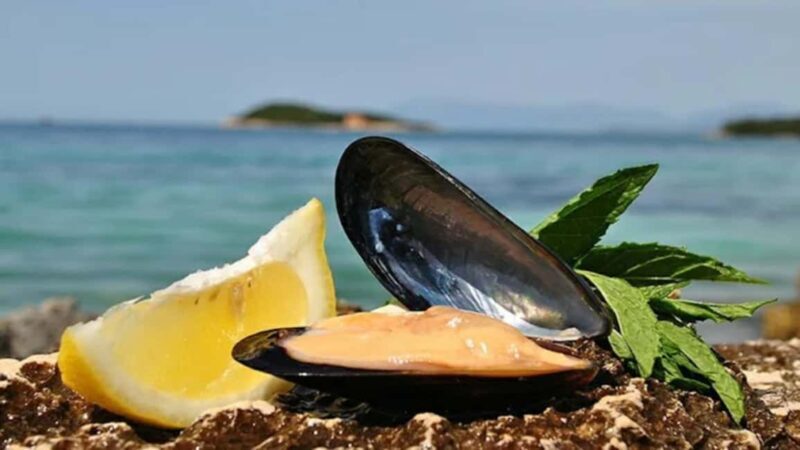 Ksamil Sailing & Mussel Tasting Experience - Setting Sail from Ksamil: An Authentic Albanian Introduction