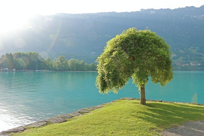(KTG361) - Interlaken day trip by bus from Geneva - The Scenic Drive: Mountains and Lakes