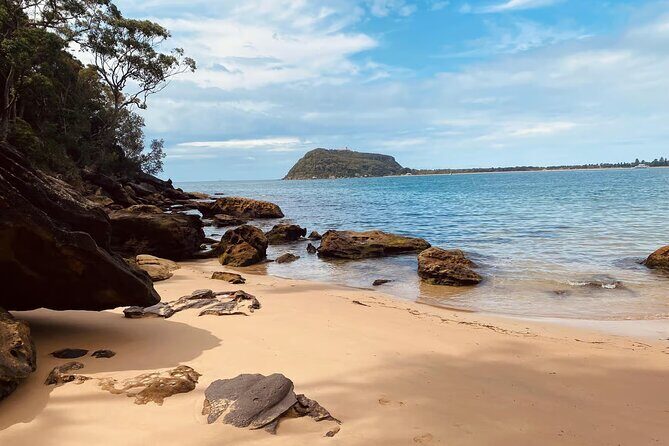Ku ring gai National Park Hike with Beach and Picnic - Key Points