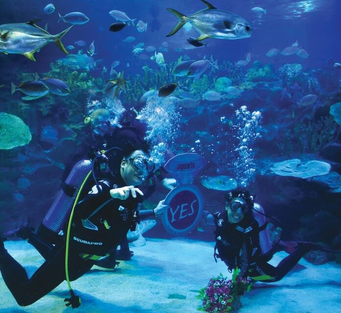 Kuala Lumpur: Aquaria KLCC Entry Ticket - Authentic Visitor Experiences