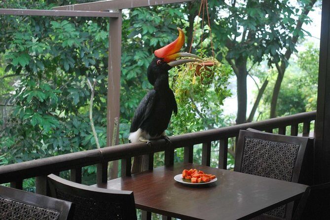 Kuala Lumpur Bird Park Admission Ticket with Private Pickup - Key Points