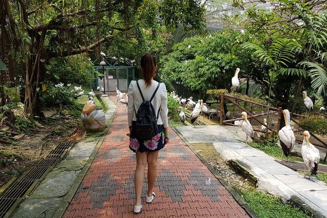 Kuala Lumpur Bird Park Admission Ticket with Private Pickup - Why This Tour is Worth Considering