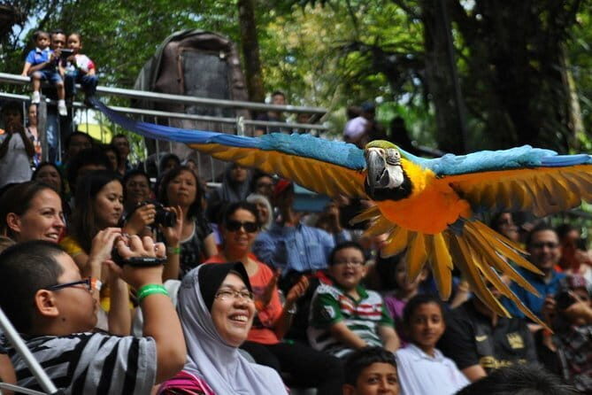 Kuala Lumpur Bird Park Admission with Famous Shopping Spots Tour - Introduction