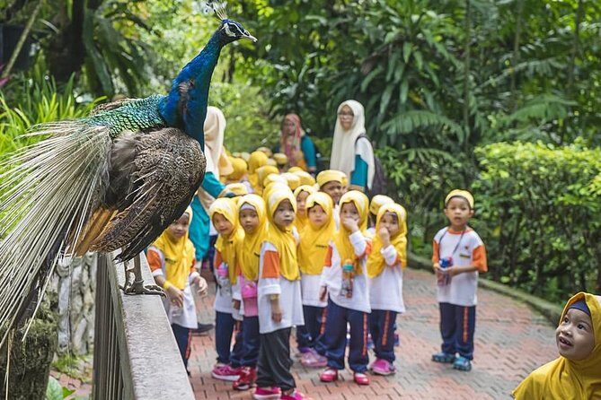 Kuala Lumpur Bird Park & Butterfly Farm Tour - Who Should Consider This Tour?