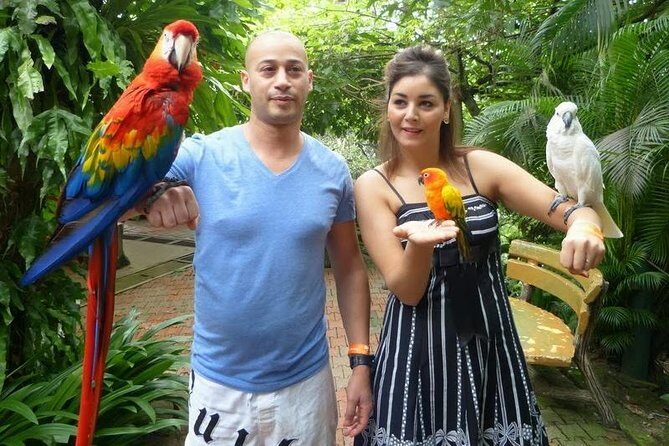Kuala Lumpur Bird park & Butterfly Farm Tour Include Tickets - Final Thoughts: Who Should Opt for This Tour?