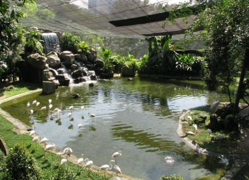 Kuala Lumpur: Bird Park, Butterfly & Garden Private Tour - An In-Depth Look at the Tour Experience