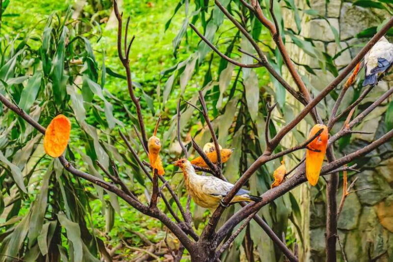 Kuala Lumpur: Bird Park Day Ticket & 1-Way Transfer - Key Points