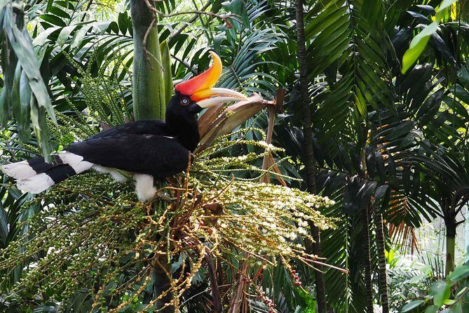 Kuala Lumpur Bird Park With Return Transfers - An In-Depth Look at the Kuala Lumpur Bird Park Tour