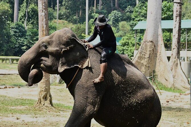 Kuala Lumpur Bus Tour Experience 3 Days - Key Points