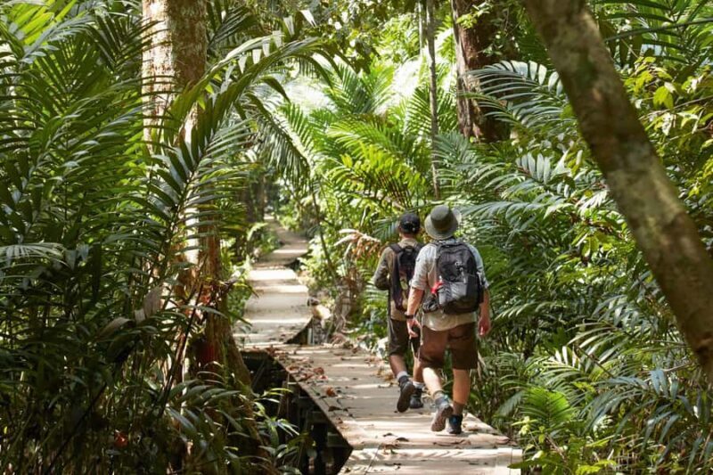 Kuala Lumpur Cameron Highlands & Tea Plantations Scenic Tour - Key Points