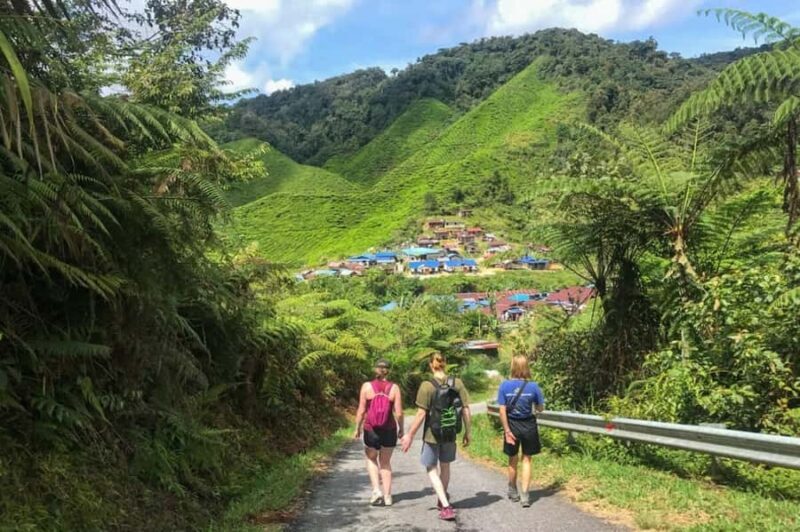 Kuala Lumpur Cameron Highlands & Tea Plantations Scenic Tour - What Makes This Tour Stand Out