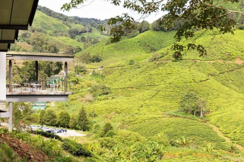 Kuala Lumpur Cameron Highlands & Tea Plantations Scenic Tour - Final Thoughts