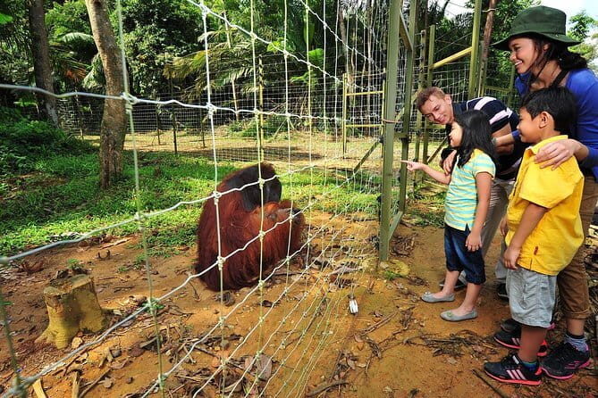 Kuala Lumpur City & Countryside Guided Tour Including Lunch - FAQ