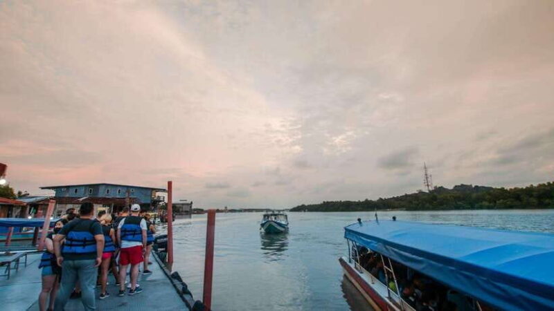 Kuala Lumpur: City Sights, Batu Caves and Fireflies Day Trip - Transportation and Logistics: How It All Fits Together