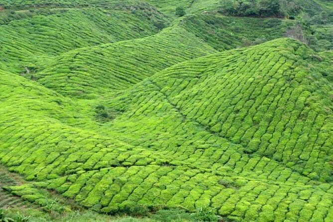 Kuala Lumpur City To Penang City - FAQ