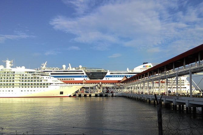 Kuala Lumpur Cruise Excursion: Full Day Sightseeing Include Twin Towers Entrance - Who Would Love This Tour?
