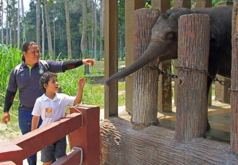 Kuala Lumpur Day Tour: Batu Caves & Elephant Sanctuary - Who Should Consider This Tour?