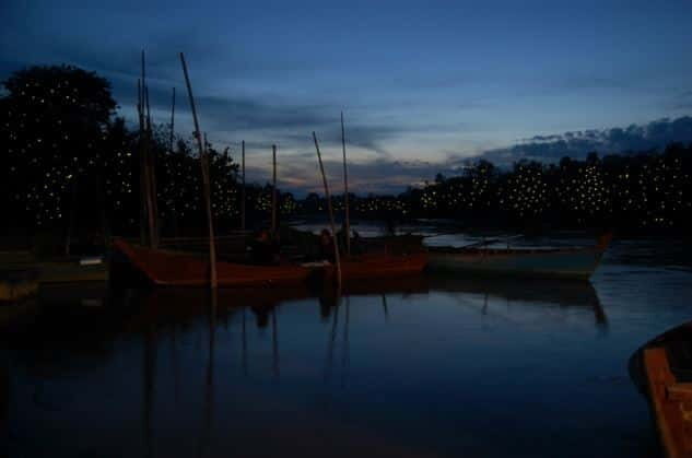 Kuala Lumpur: Fireflies & Blue Tears Tour with Seafood Meal - A Closer Look at the Itinerary