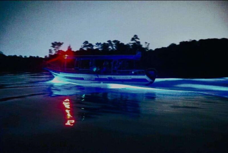 Kuala Lumpur: Fireflies & Blue Tears Tour with Seafood Meal - Who Will Love This Tour?