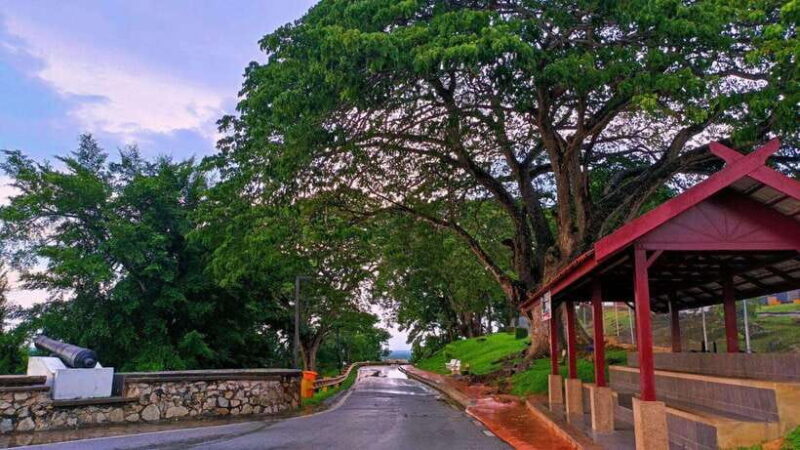 Kuala Lumpur: Fireflies & Blue Tears Tour with Seafood Meal - Final Thoughts