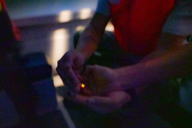 Kuala Lumpur - Fireflies Tour Including Riverside Dinner - A Deep Dive Into the Experience