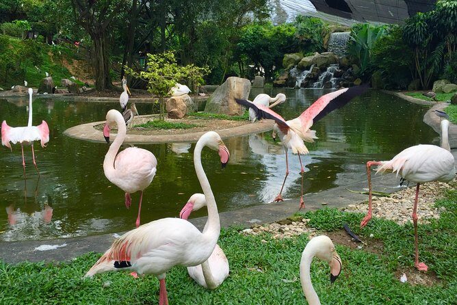 Kuala Lumpur Garden, Park and Museum Tour with Lunch - FAQ