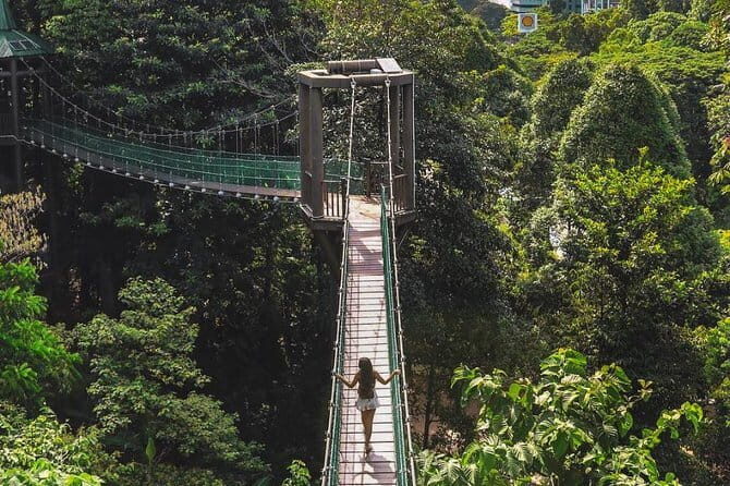 Kuala Lumpur Historical Chinatown Tour (Private Half Day) - A Deep Dive into the Kuala Lumpur Historical Chinatown Tour
