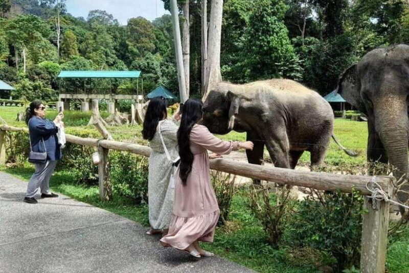 Kuala Lumpur: Kuala Gandah and Batu Caves Private Trip - The Itinerary: What to Expect