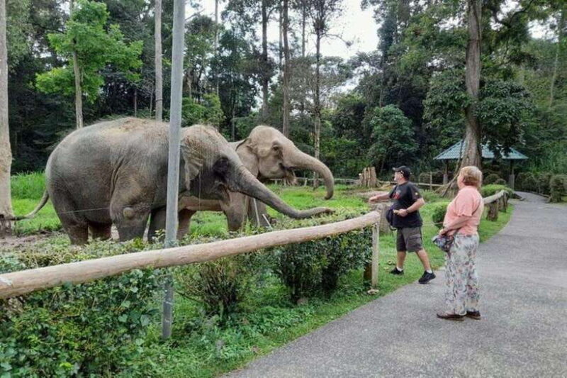 Kuala Lumpur: Kuala Gandah and Batu Caves Private Trip - Reflection on Value and Experience