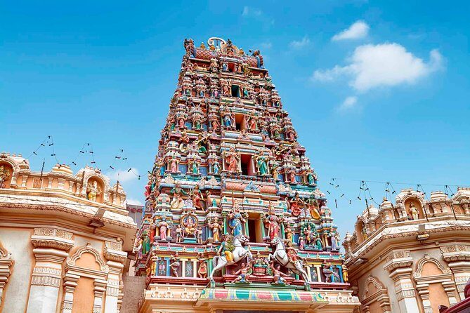 Kuala Lumpur Multi Racial Culture Tour with Professional Guide - Price & Value