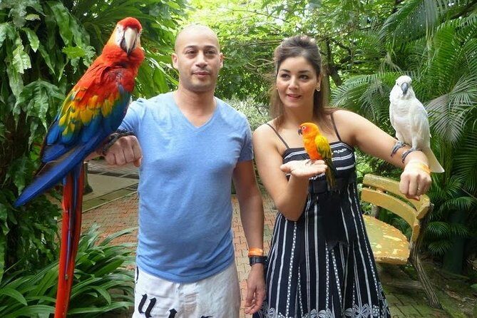 Kuala Lumpur Nature And Gardens Tour - Authenticity and Value