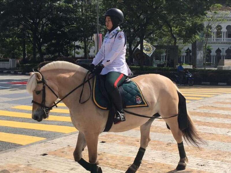 Kuala Lumpur: Private Sightseeing Tour with Pickup - Actual Traveler Feedback: The Real Story