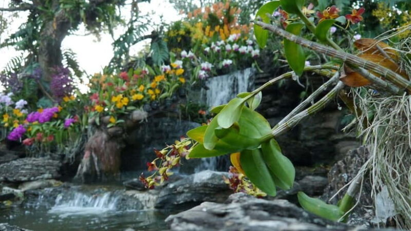 Kuala Lumpur: Sightseeing Pass - Key Points