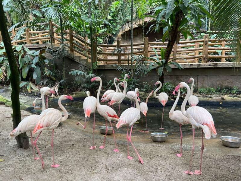 Kuala Lumpur: Sunway Lagoon Ticket & 1-Way Transfer - Key Points